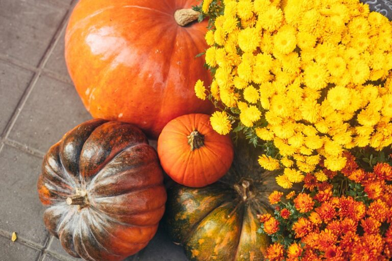 12 Beautiful Plants That Bloom in the Fall | The Home Team
